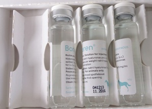 MVDr. Miroslav Trunda: Diagnostika, léčba a prevence onemocnění koní ...